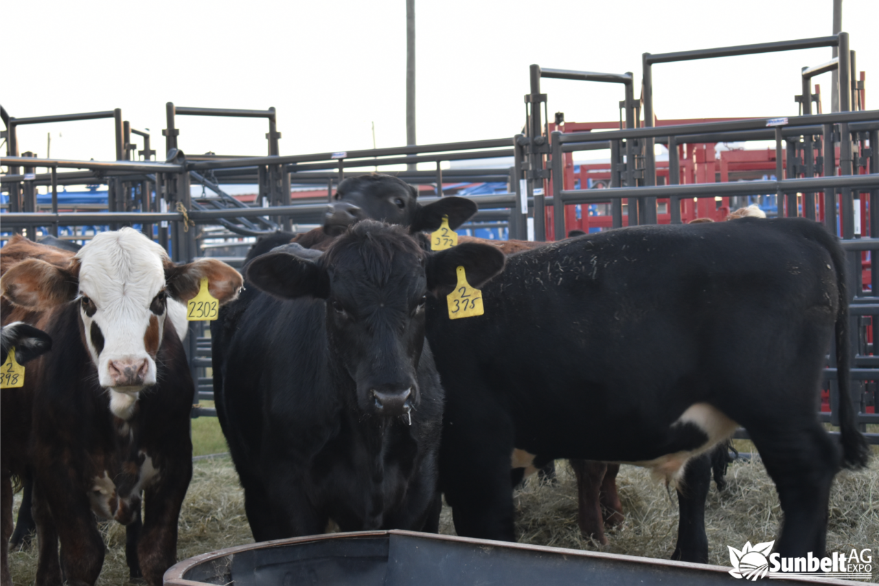 2022 Sunbelt Ag Expo In Review | Sunbelt Ag Expo in Moultrie, Georgia