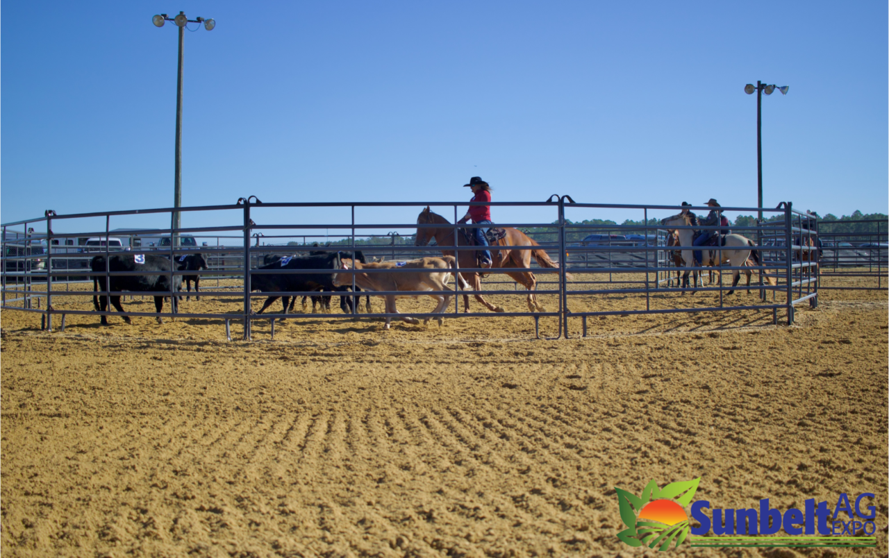 Tuesday at the 2022 Sunbelt Ag Expo: In Review | Sunbelt Ag Expo in ...