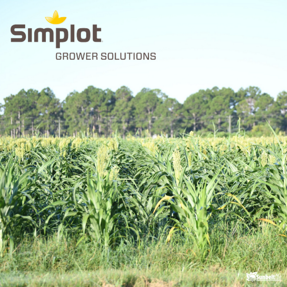 Field Day Highlight: Simplot Grower Solutions | Sunbelt Ag Expo in Moultrie, Georgia