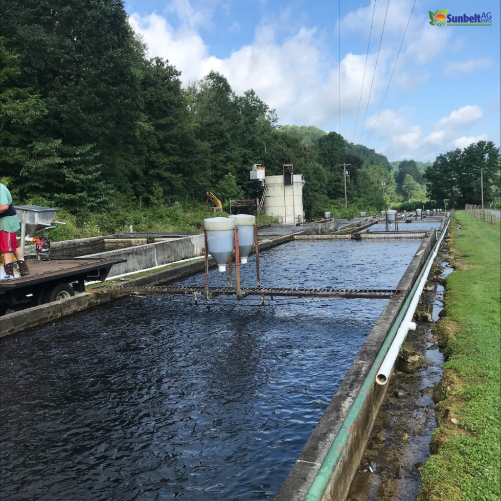 The Farm Families behind the Farmer of the Year Program | Sunbelt Ag ...