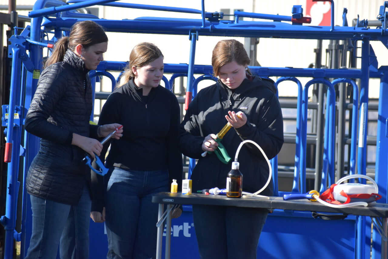 Mastering the Art of Cattle Operations | Sunbelt Ag Expo in Moultrie ...