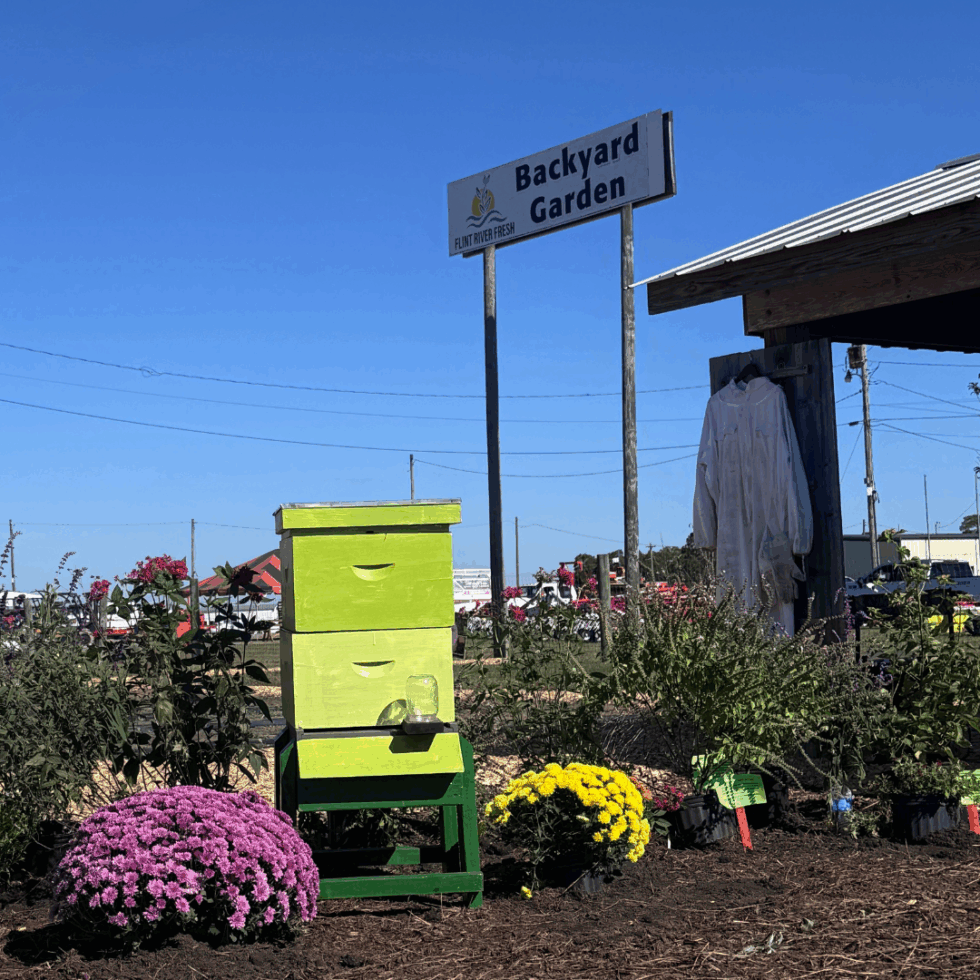 Fresh Ideas Take Root at the Sunbelt Ag Expo’s Backyard Garden ...